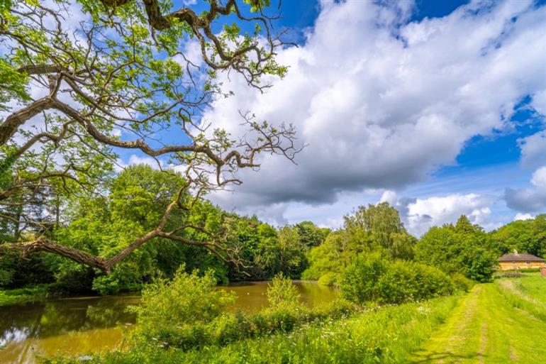Exton Park at Lantern and Larks in Exton, Rutland - cottage holidays ...