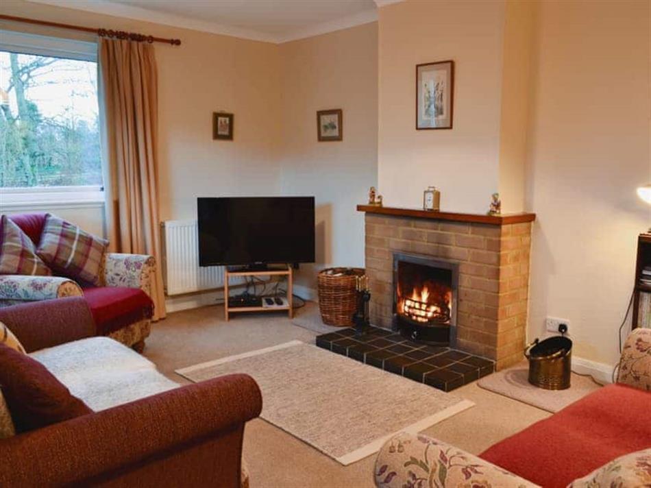 Melgund Glen Lodge (Ref : UK5151) in Minto, near Hawick Pet Friendly ...